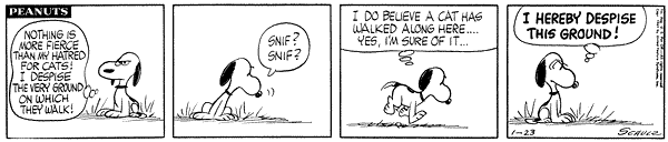 Trapper Jenn MD: The 25 Best Snoopy Faces