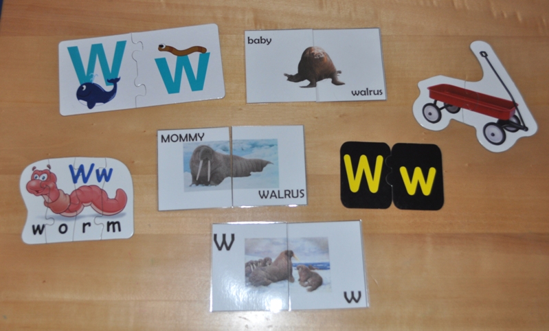 Memorizing the Moments: W for Walrus