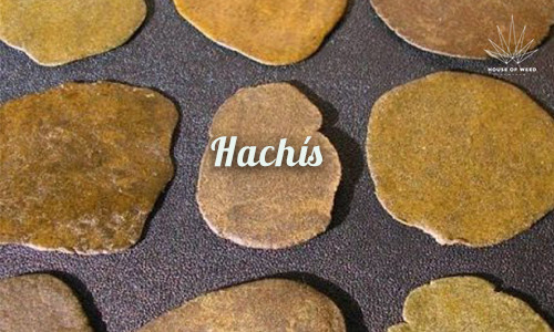 House of Weed: El hachís y cómo se hace