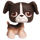 LPS Database Search: "Boxer" | LPS Merch