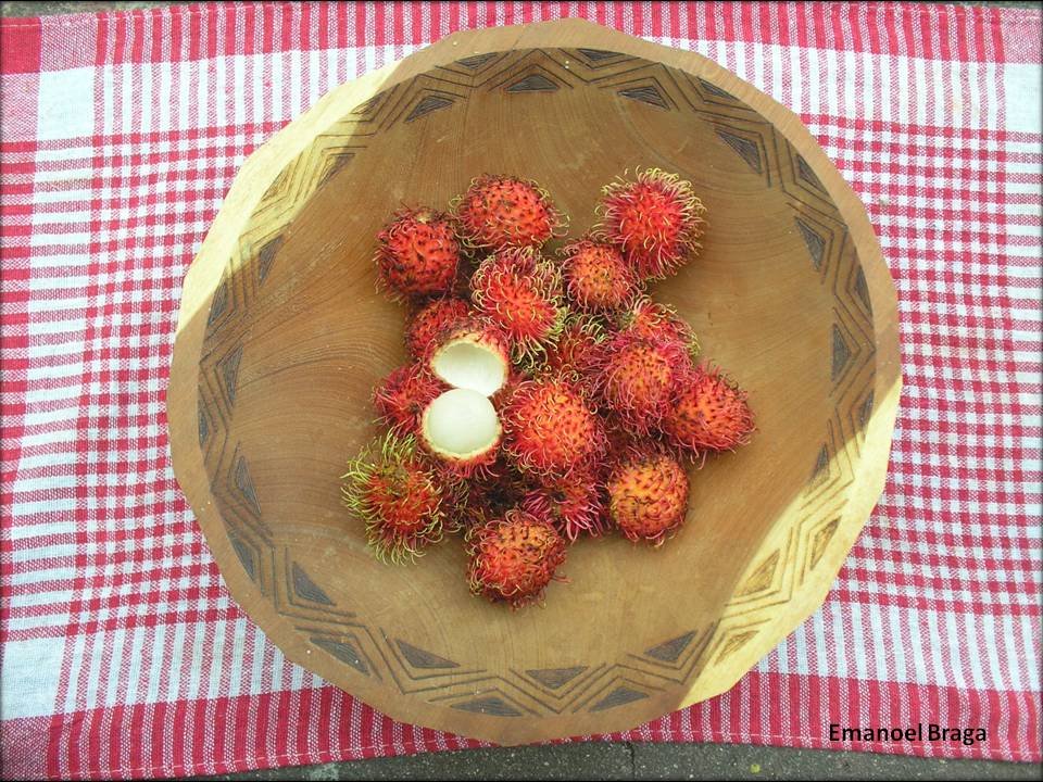 Todo-caminho: Rambutan, Rambutão, Rambutã ... fruta da Malásia em Jequié
