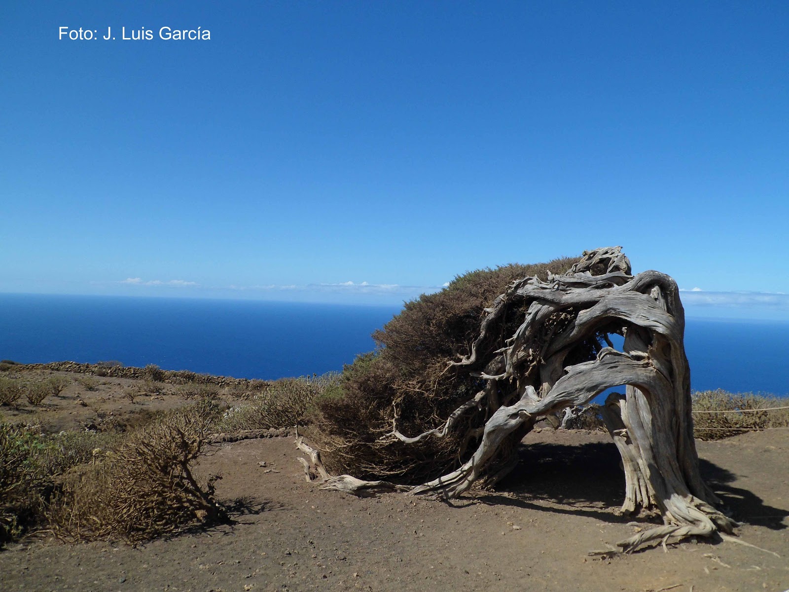 Walk in my shoes: El Hierro: en los confines del mundo conocido