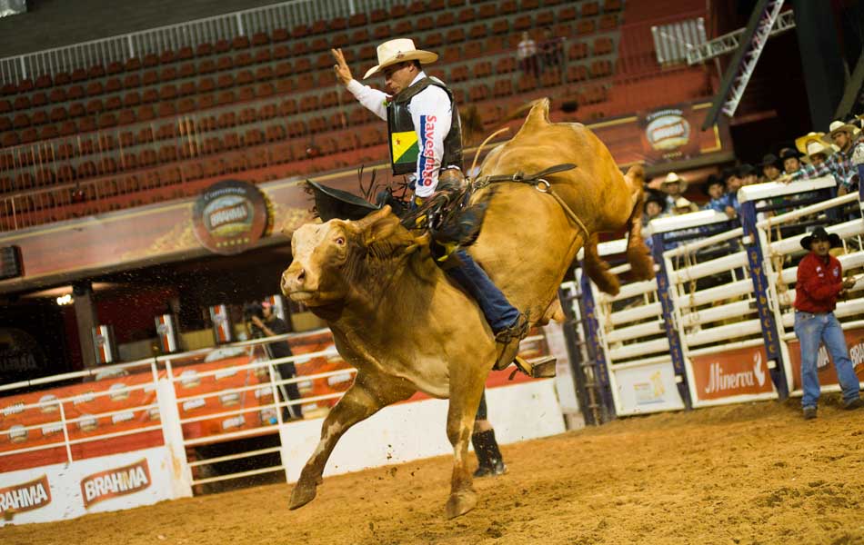 BLOG DO LUIS MEIRA: Rodeio de Barretos 2013