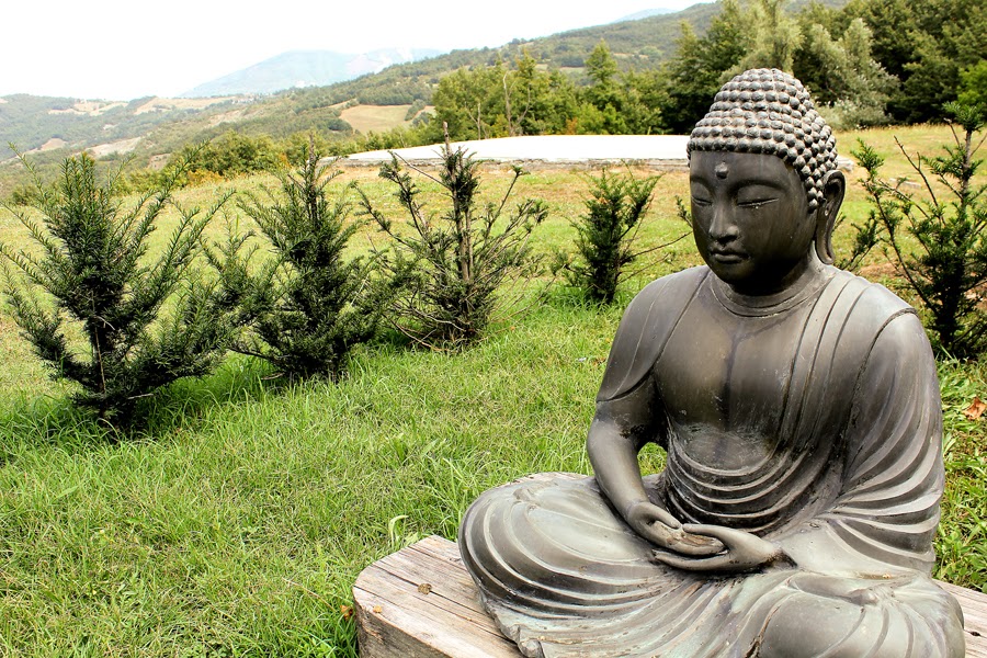 Abundancia, Amor y Plenitud : MEDITACION PARA ATRAER DINERO A TU VIDA ...
