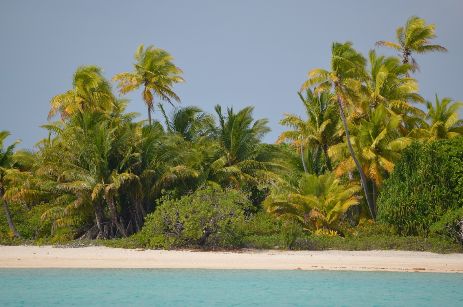 Life afloat on a 40 foot boat.