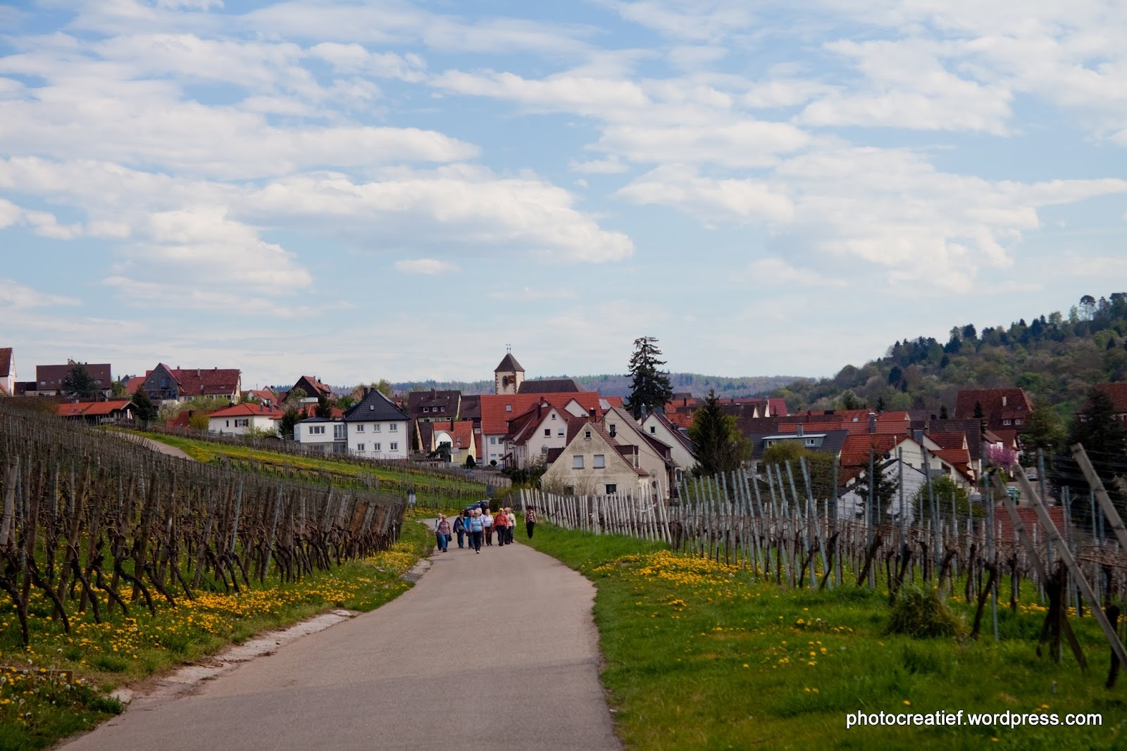 Wein- und Silcherort Schnait: Der Wanderweg nach Schnait