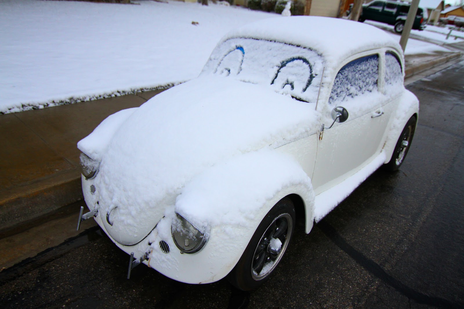 The Beetle Has Landed