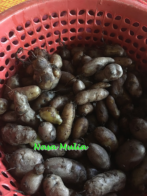 warna warni hidupku..............: Ubi Kemili Atau Ubi Keling