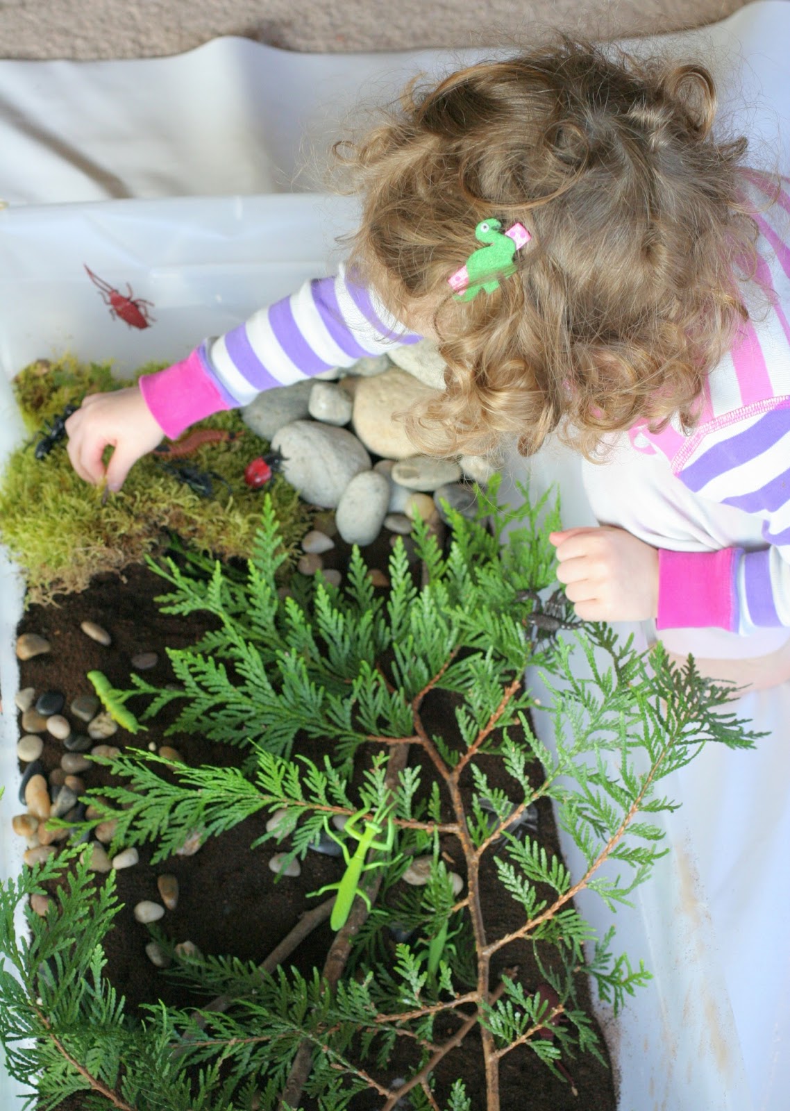 Simple Small Worlds: Insect World