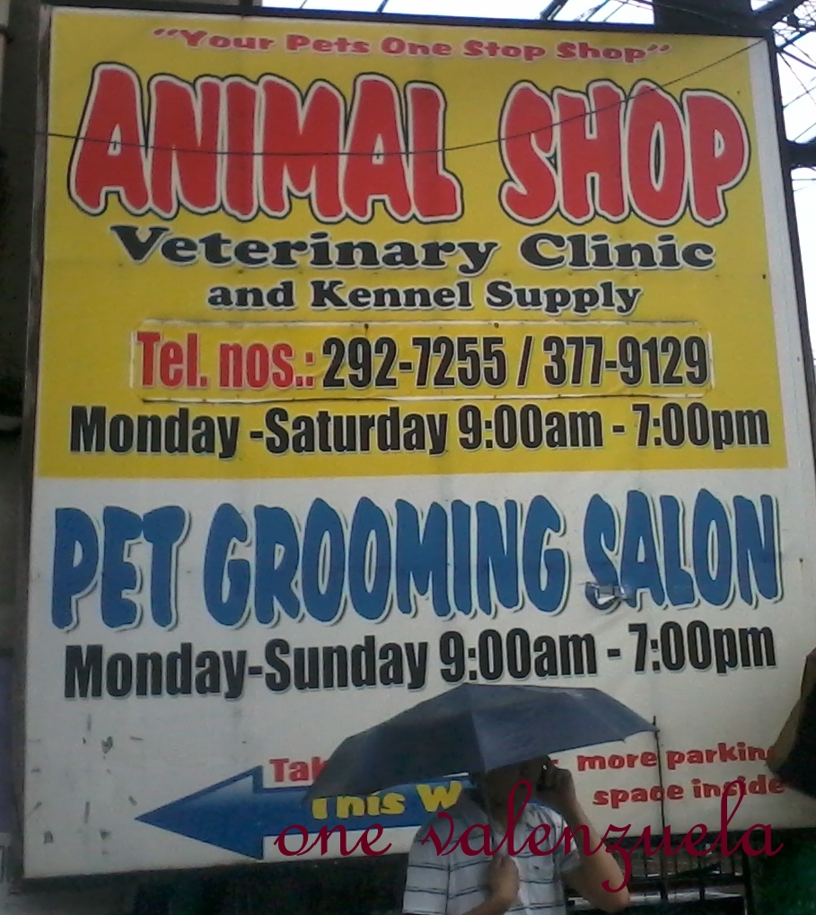 One Valenzuela: Doggy Day to the Vet: Animal Shop Veterinary Clinic ...