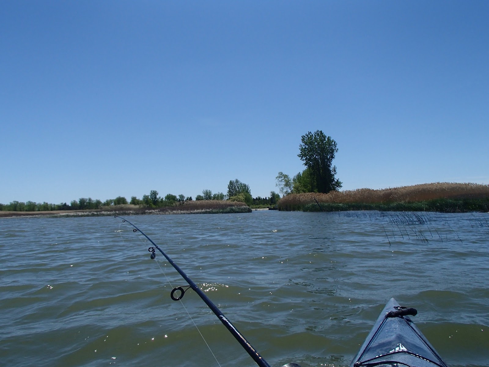 kayaker67adventures: Long Point Provincial Park Kayaking