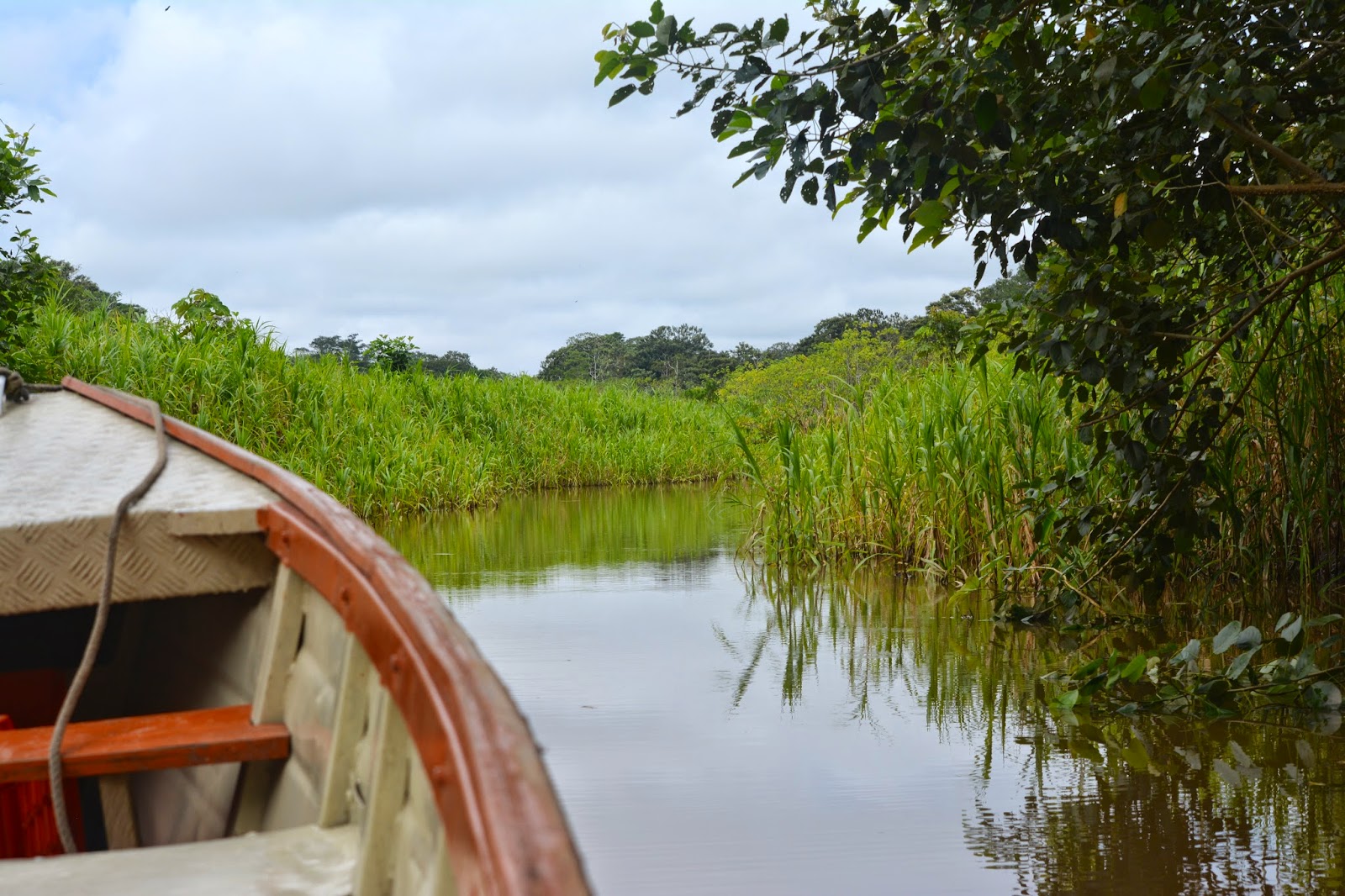 The Thrill on Berryhill ..........................: Amazon