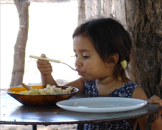 la desnutrición: DESNUTRICION EPIDEMIOLOGIA