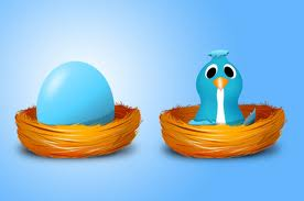 Social Media Topics: Explanation on twitter egg Avatar/image