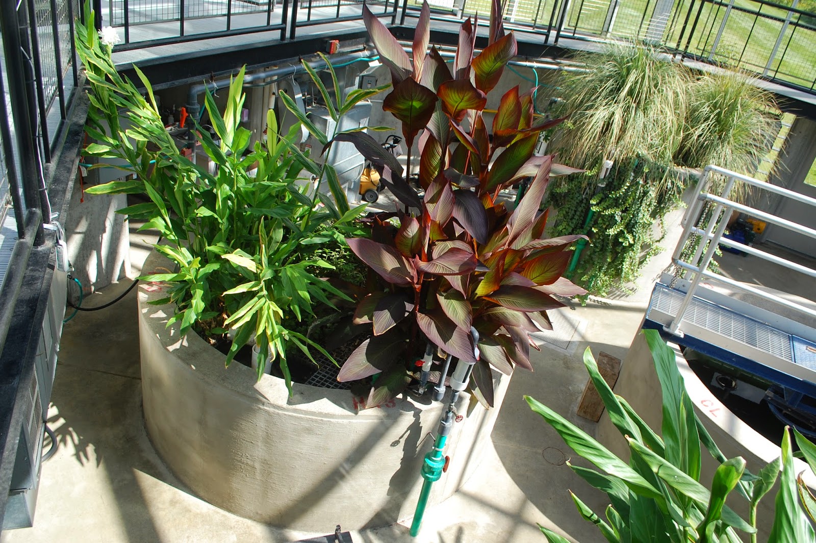 Sprouts: A Living Machine: Vermont's "Green" Rest Stop