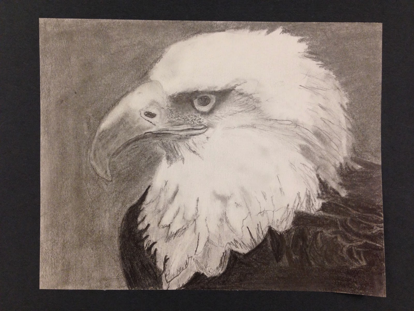 Art Alley: Drawing Rendering: 7th Graders Learn to See