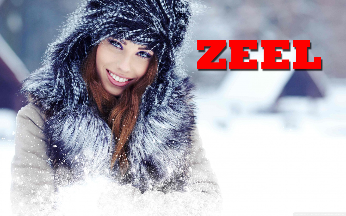 Zeel Pakistan: Zeel Pakistan