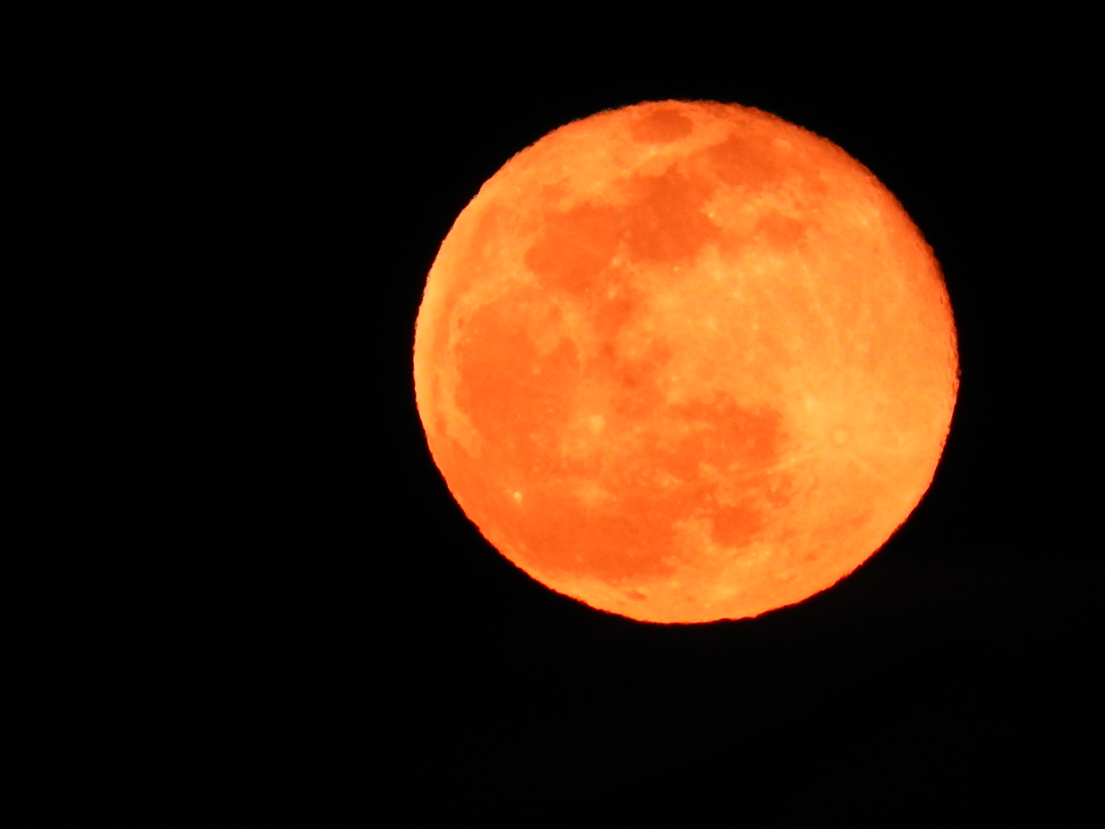 Texas Gypsies: Pink Full Moon Florence, AZ