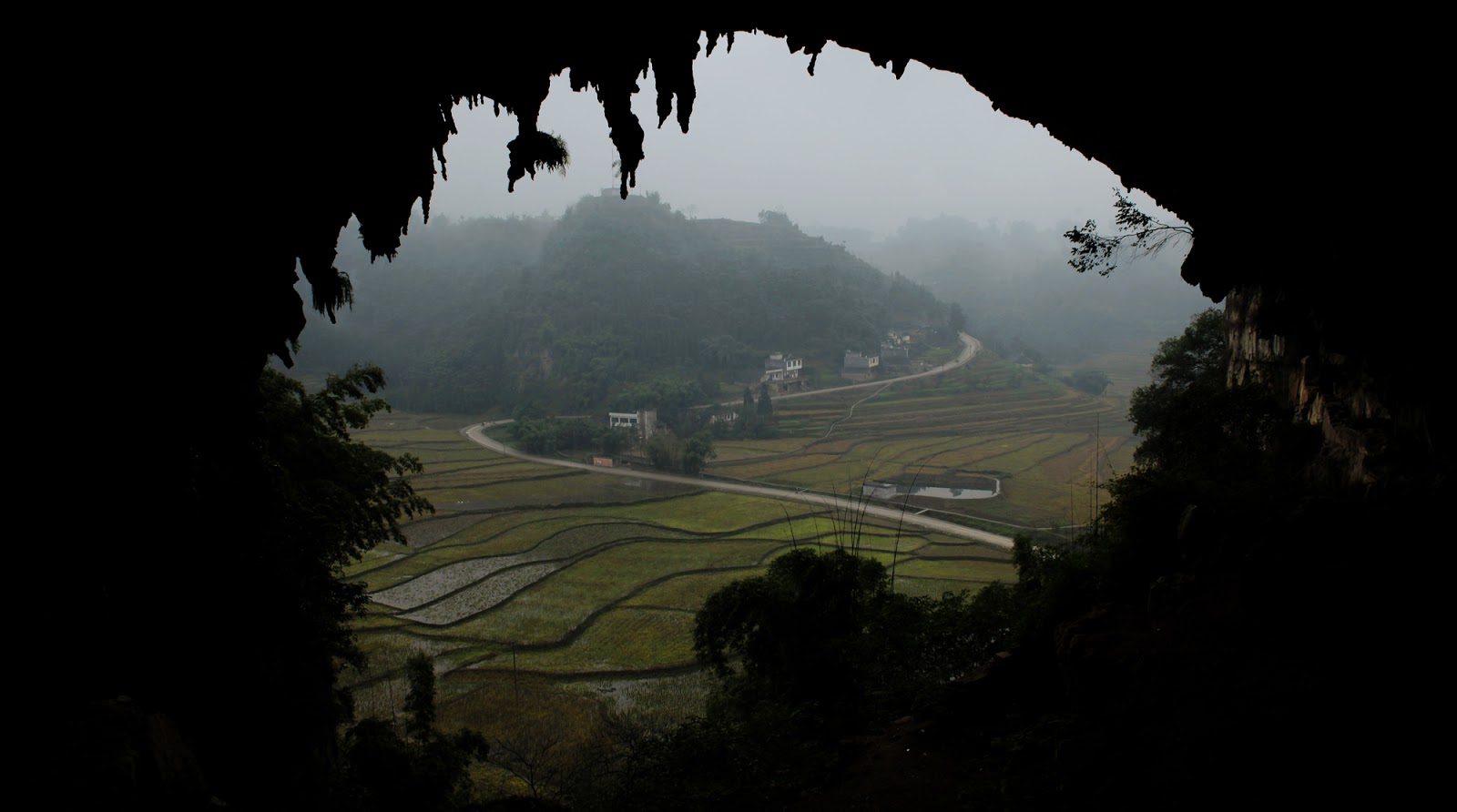 Having a Wonderful Time, Please Send Money: Hanging Coffins of the Bo ...