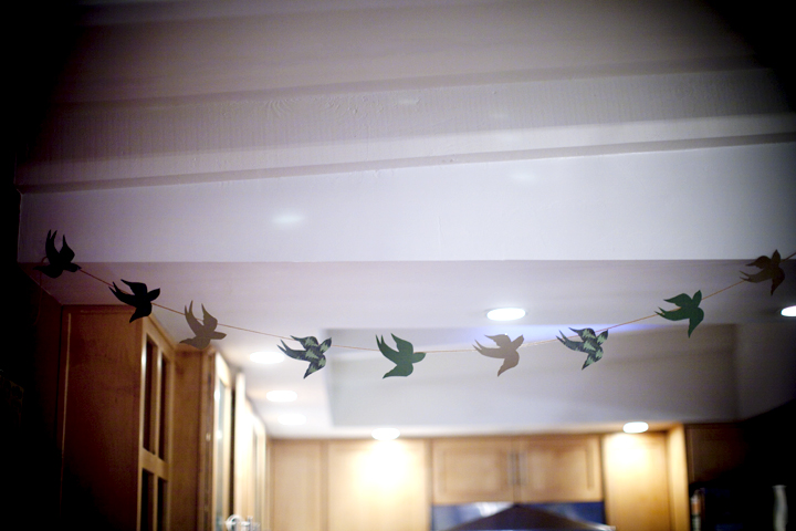 The Wardrobe Diaries: Portlandia Party