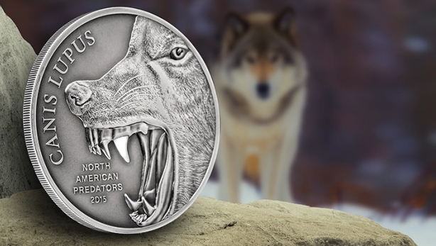 White Wolf : Gray Wolf: First North American Predator Silver Coin ...