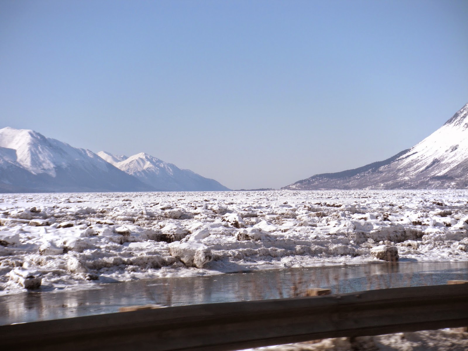 Life in Alaska — A View From Homer: Turnagain Arm Winter Bergs