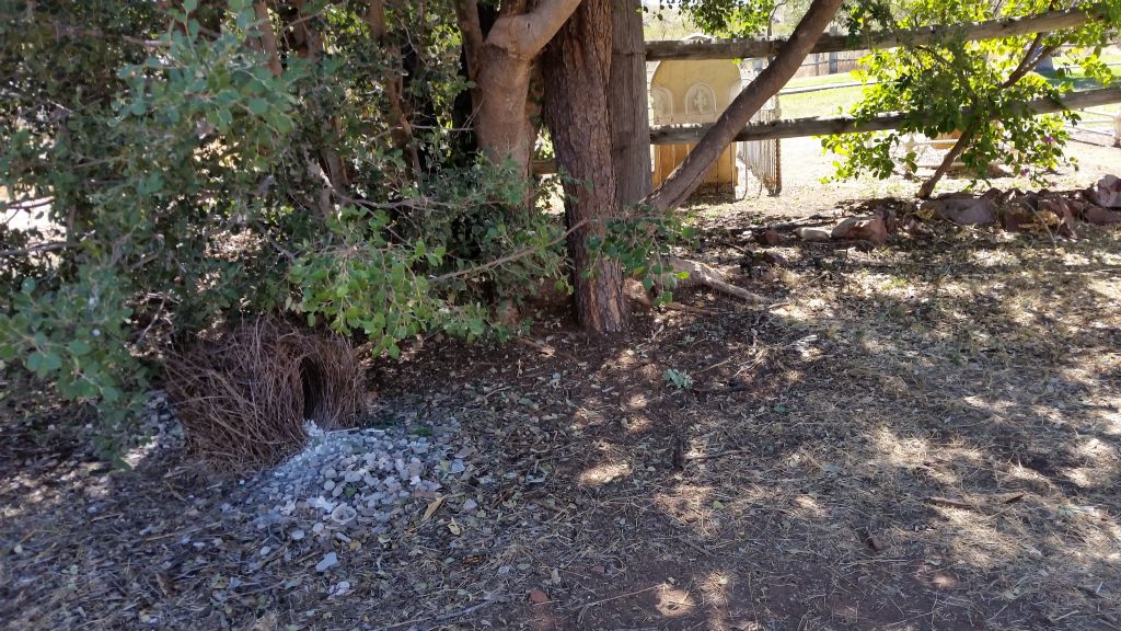 Museum at Durack Homestead (moved from Lake Argyle) ~ School of Running