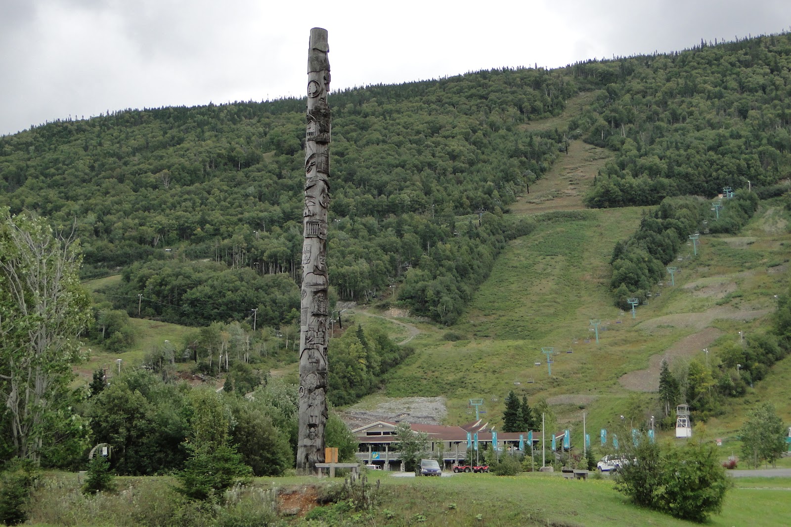 Newfoundland & Labrador Heritage Tree...........