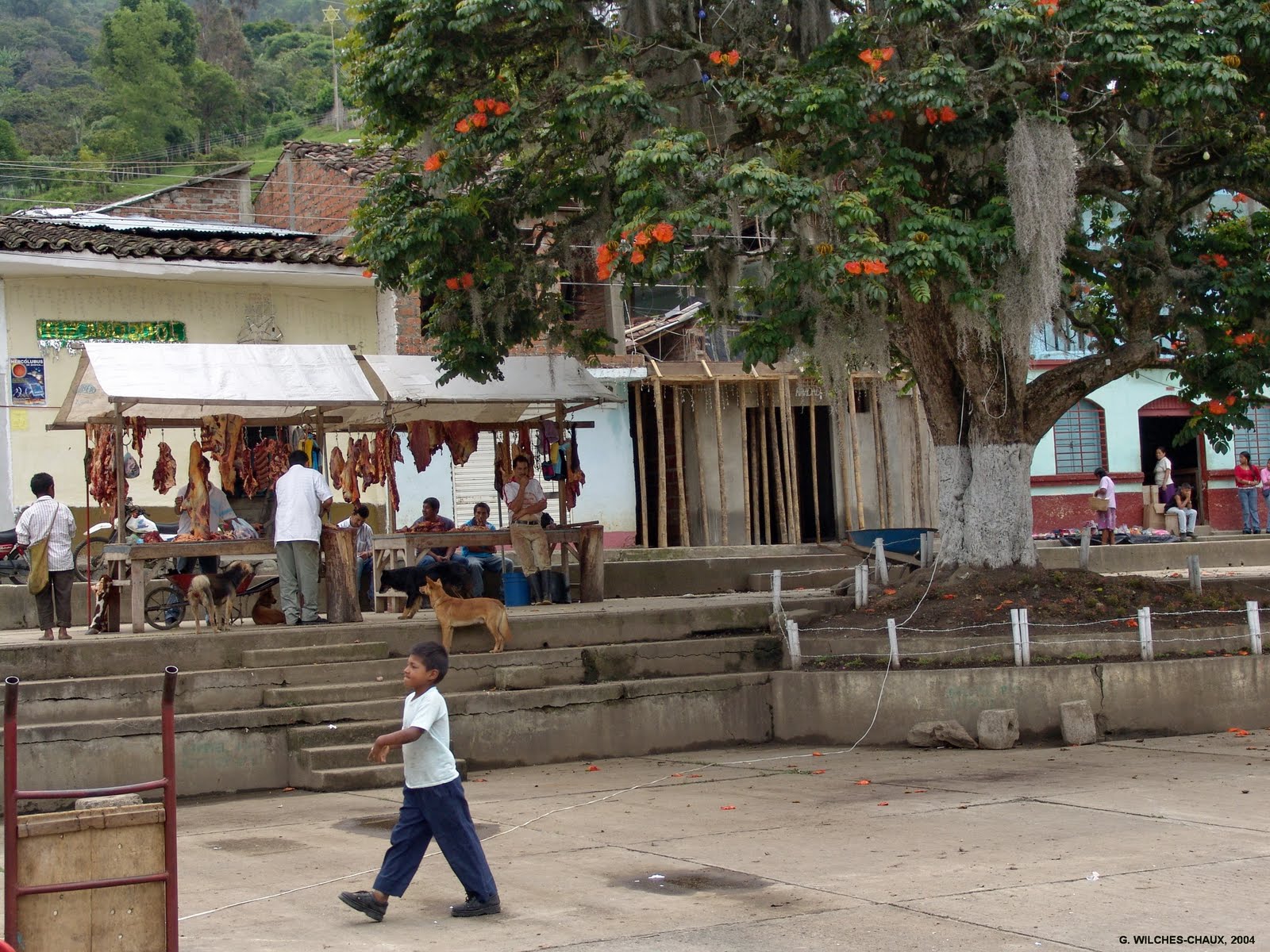 ¡NO A LA GUERRA!: TORIBÍO: una comunidad llena de vida