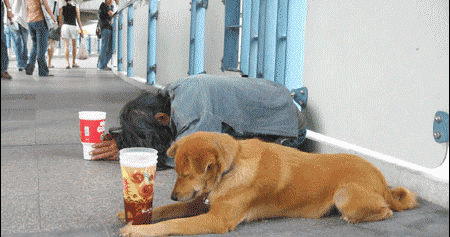 LA PARED: ¿Será mejor ser limosnero que profesional en Colombia?