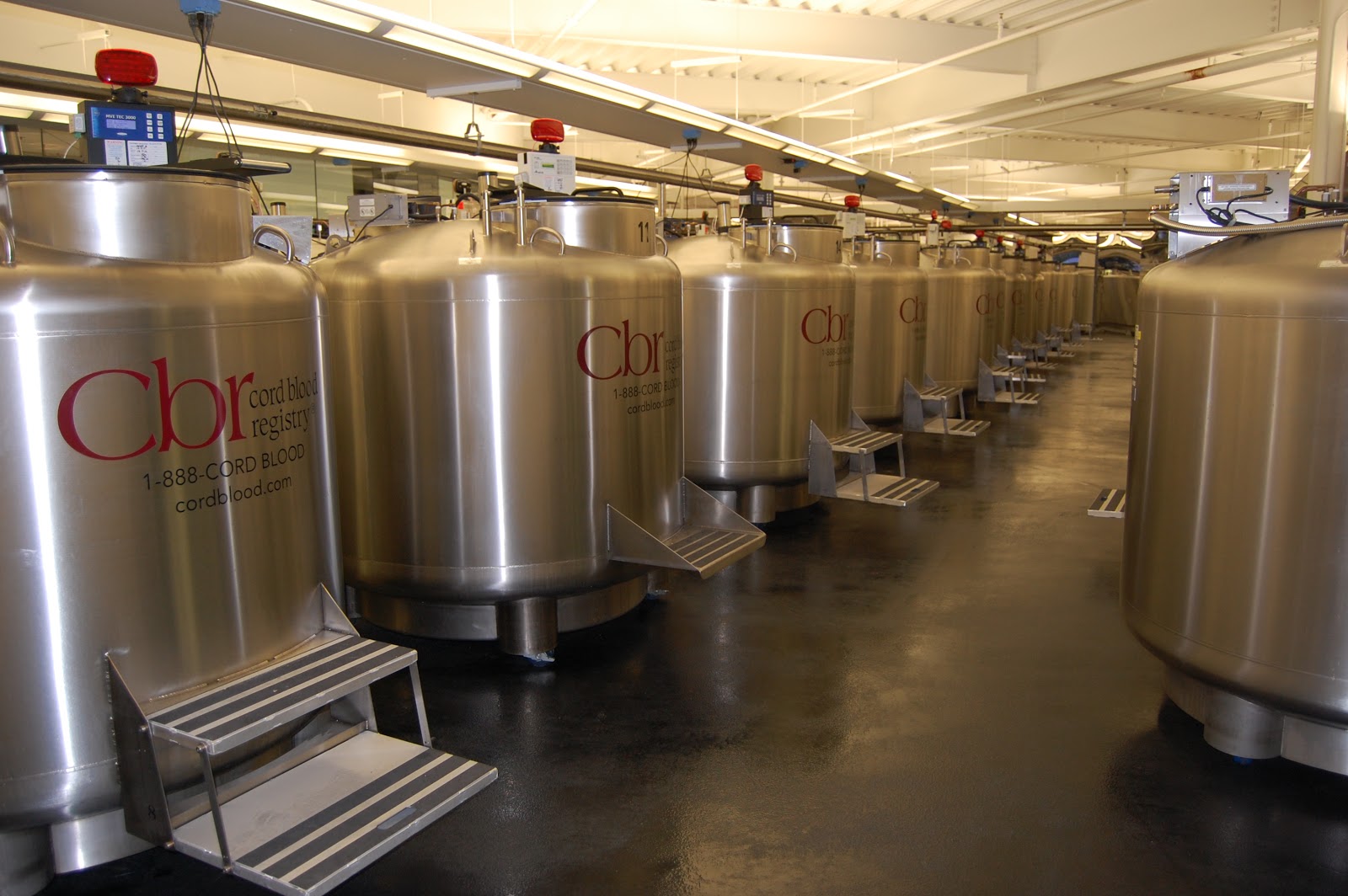 The Lihn Family: Hope in a Dewar