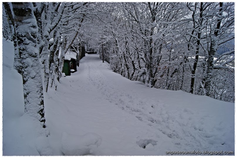 Un paseo,una foto: enero 2014
