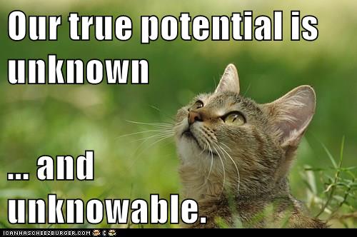 Growth Mindset & Feedback Cats: August 2016