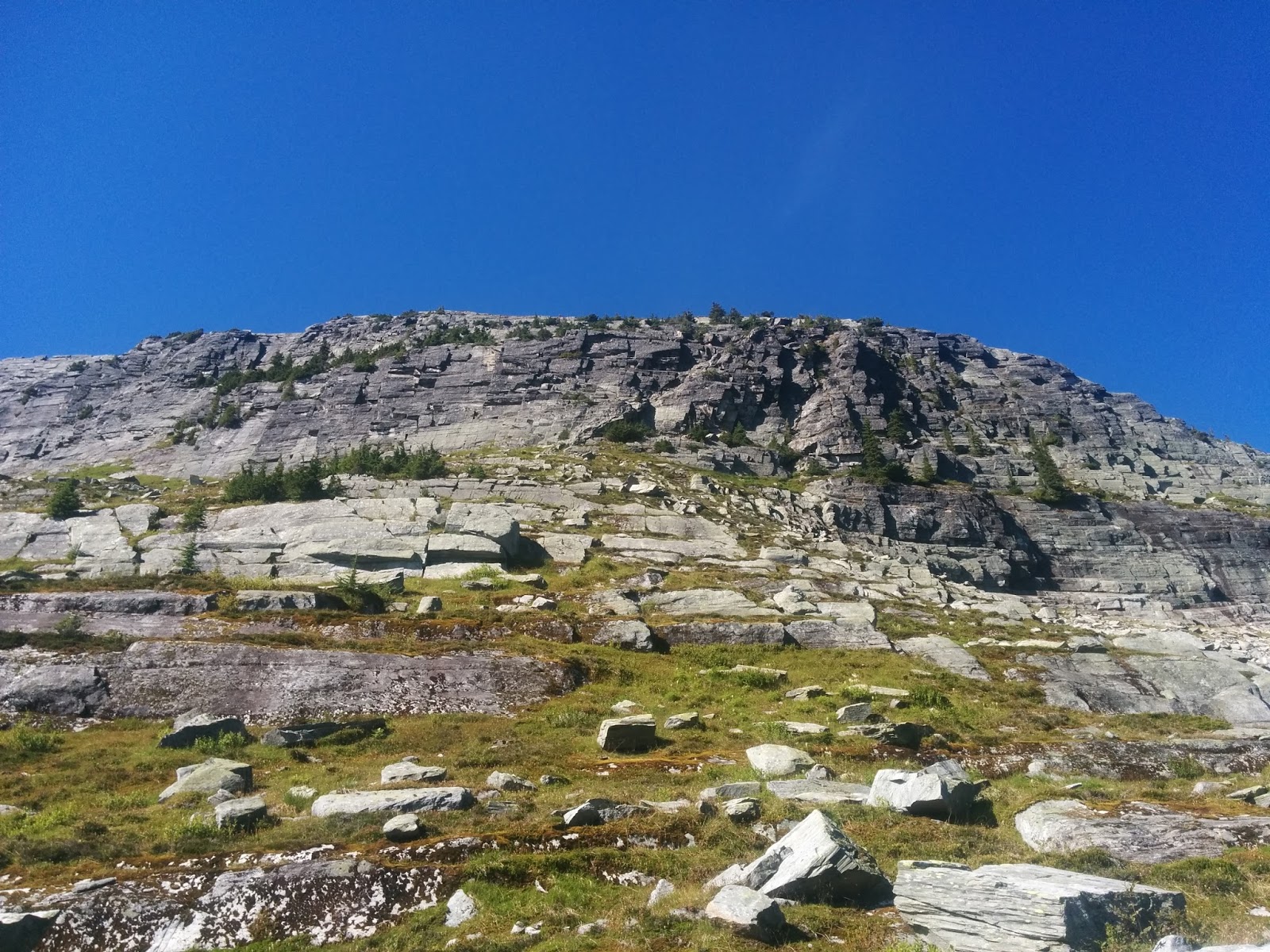Jenny's Mountain Adventures: Mt Abbott Hike - Rogers Pass
