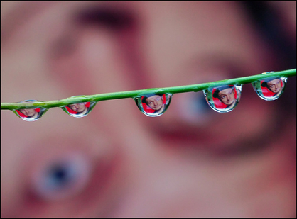 My Photography Work: Depth Of Field