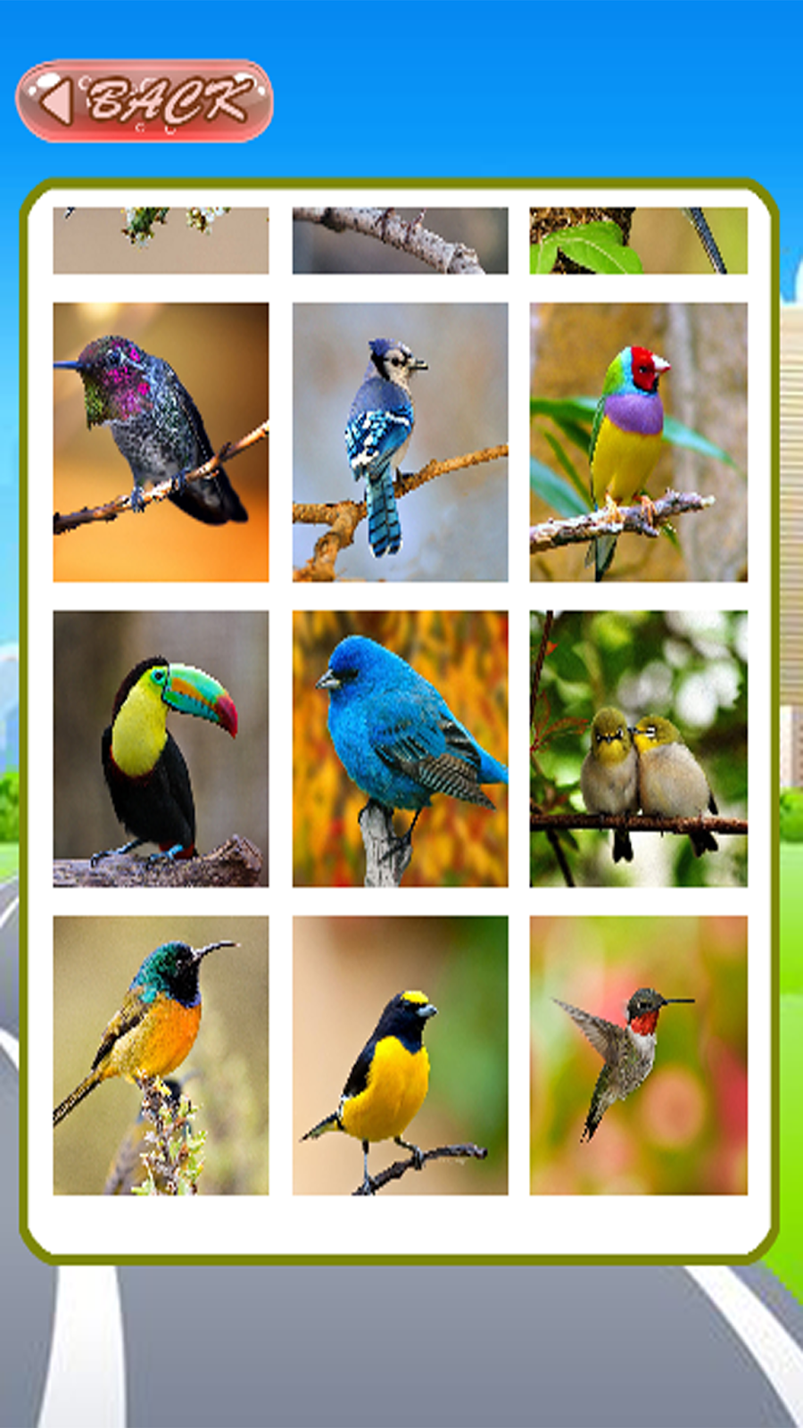 Puzzles Bird Games And Jigsaw For Kids Education