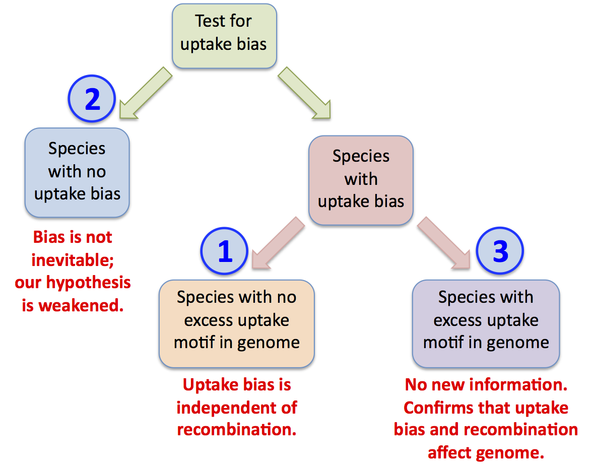 RRResearch: July 2012
