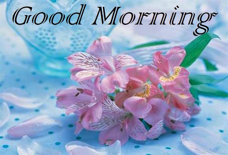 Stylish Good Morning Quotes