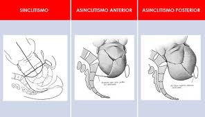 Estudo de Enfermagem: Estática Fetal