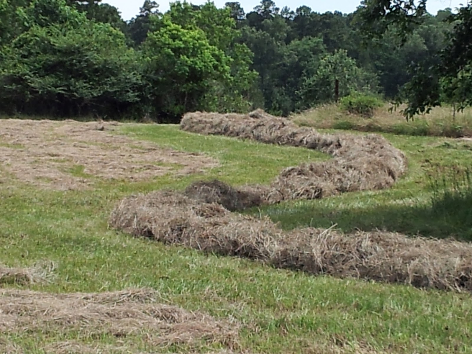 The Big Heat: Making Hay While the Sun Shines #farming #amwriting