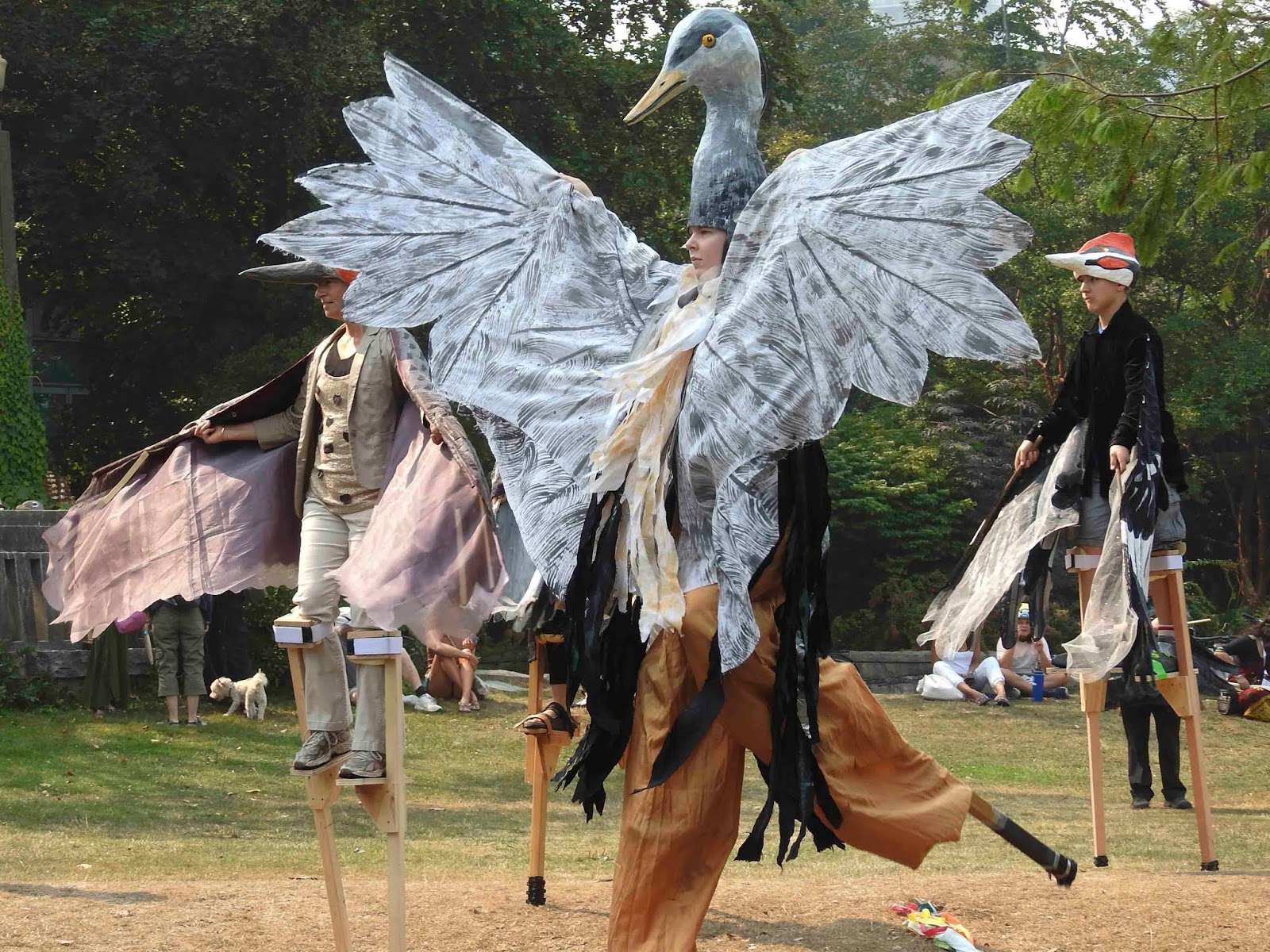 John Gordon/Listening to Birds: Birds on Parade