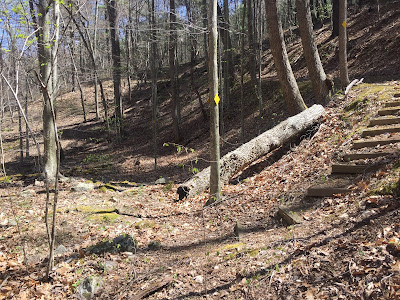 Wandering Virginia: Sprouts Run/Wilson Mountain Loop: Jefferson ...