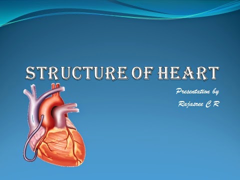 Impressions.....: Structure Of Heart-Presentation