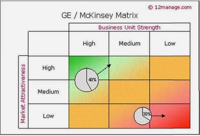 Essential Skills for an Excellent Career: 5.2. GE-McKinsey Matrix