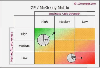 Essential Skills for an Excellent Career: 5.2. GE-McKinsey Matrix