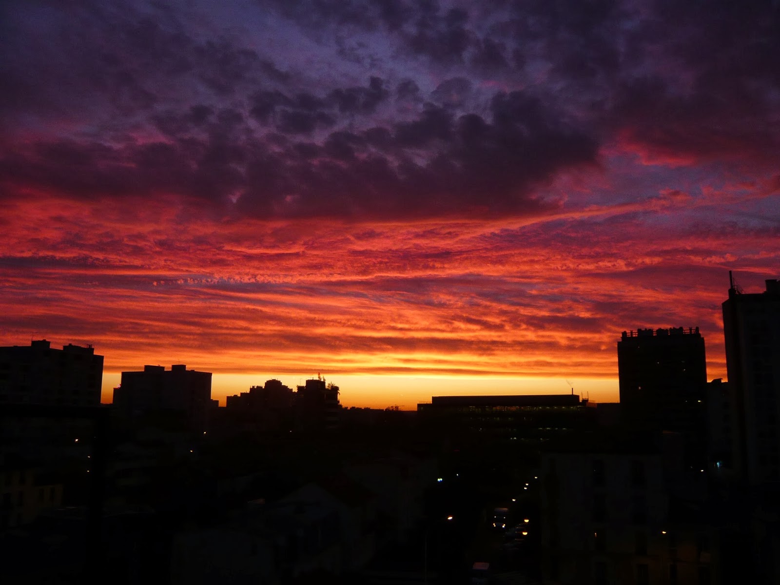 My Little Dog à Paris: Le beau ciel de Paris