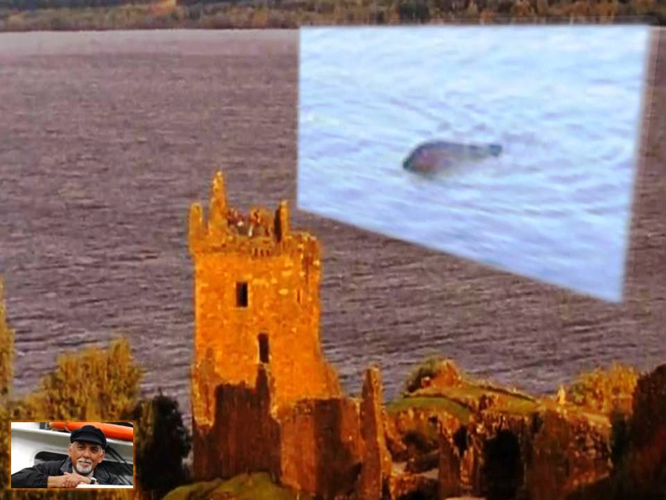 New Nessie Photograph 2012 Man Has Proof Of Loch Ness Monster TTBTS new-nessie-photograph-2012-man-has-proof-of-loch-ness-monster-ttbts
