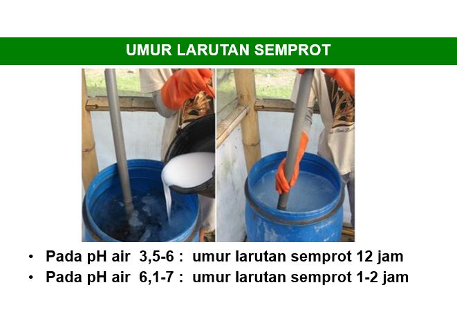 BPP BANYUATES: TEKNIK PENYEMPROTAN PESTISIDA