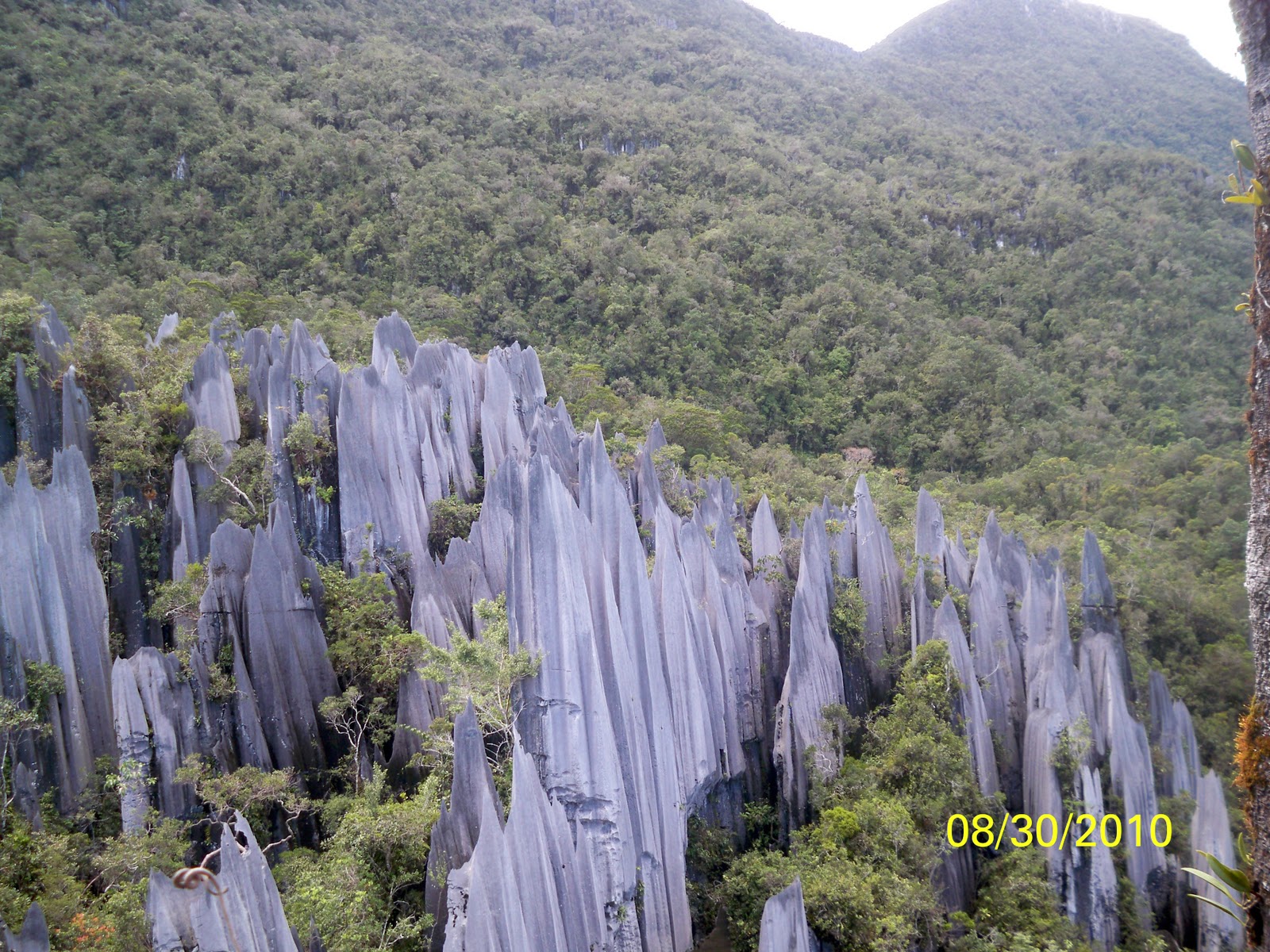 Hiking, Travel and Food!: Hiking up The Pinnacles - Gunung Api 1750m