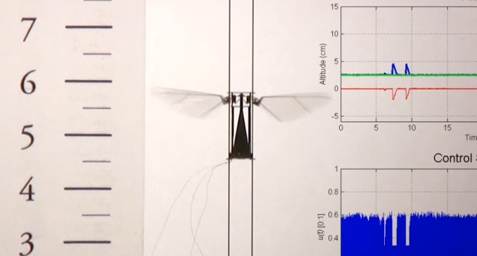 First controlled vertical flight of a biologically inspired microrobot ...